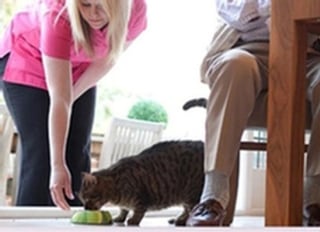 Apex Prime Care Ltd | 20 Home Care Providers | 14 Reviews